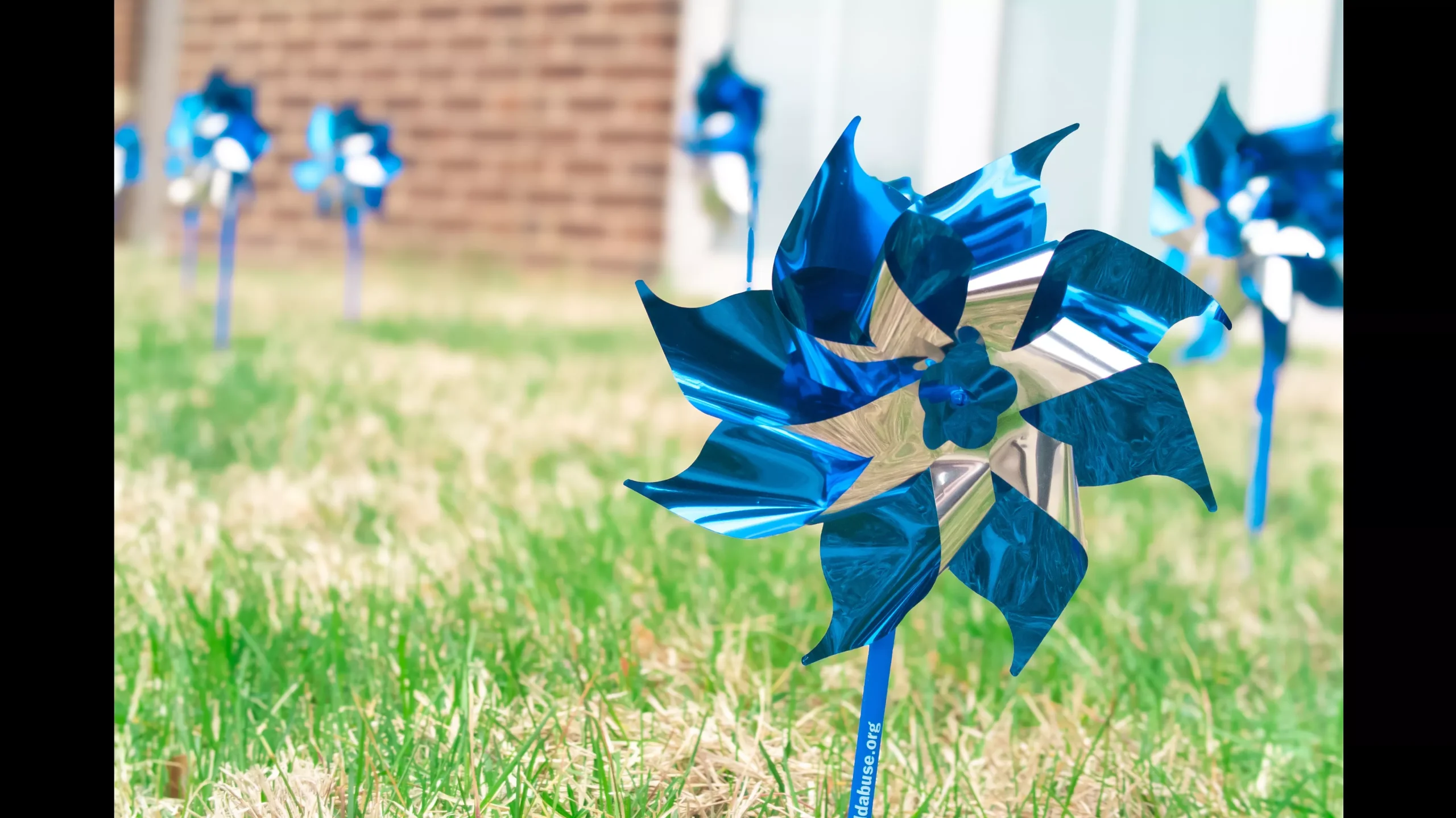 Pinwheels Take Root As Call To Action Against Child Abuse