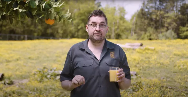 Kentucky to Ban Hemp Beverages in Bars June 1: Cornbread Hemp Hosts ...